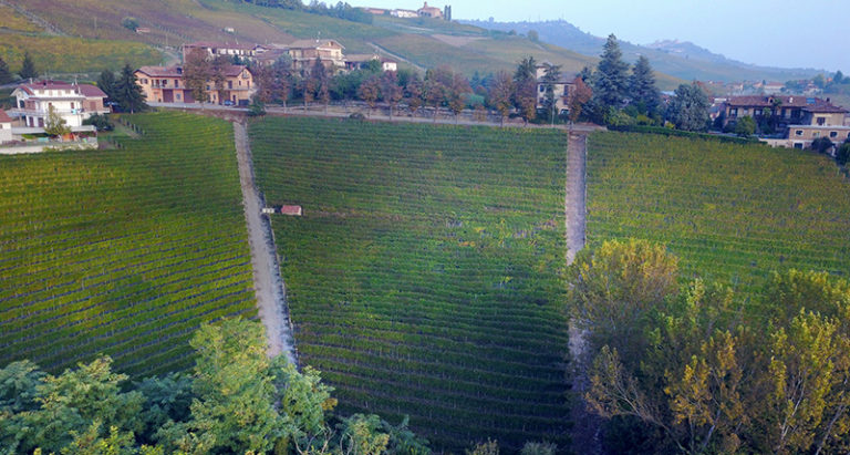 vigneti – VINI GIACOMO GRIMALDI